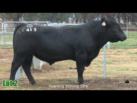 Lot 02 Rennylea NOR22T413
