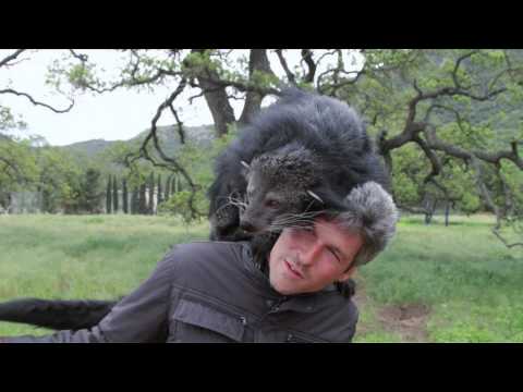 We Bought A Zoo - Maggies Tour Featurette