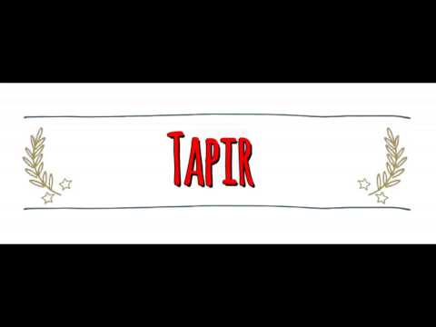 American vs Australian Accent: How to Pronounce TAPIR in an Australian or American Accent