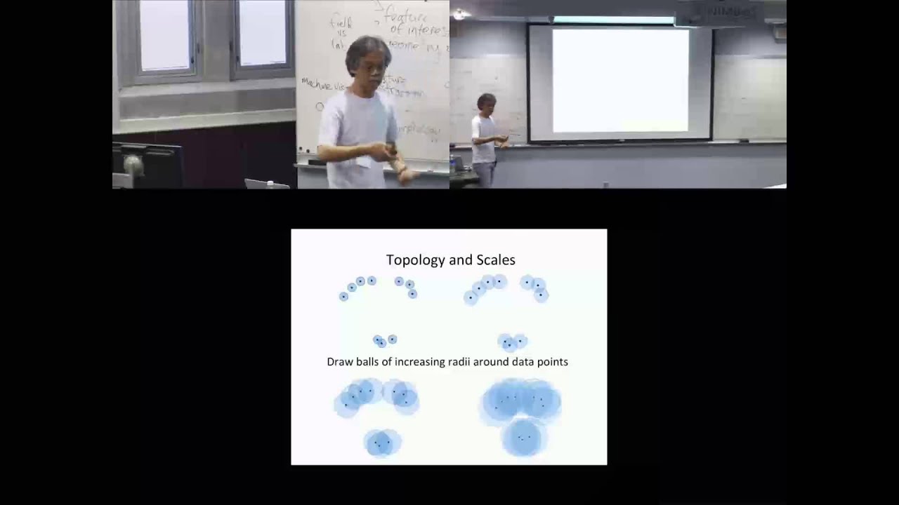 Geometric and topological methods in plant morphometry