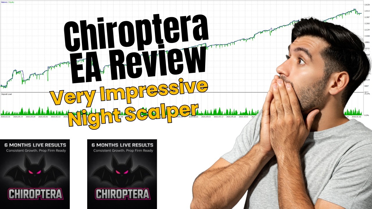 Chiroptera Expert Advisor Review: Too Good to Be True?