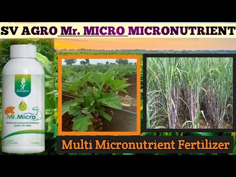 Leading Agriculture Company in Pune | SV Agro Solutions