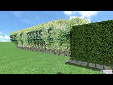 PGT Designs -Wellington Residence draft 11-9-18