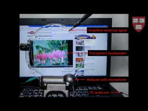 Transparent loudspeaker | Harvard School of Engineering and Applied Sciences