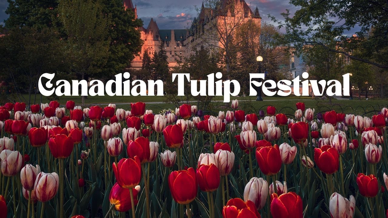 Exploring Ottawa’s Tulip Festival | Photo Tips & City Highlights