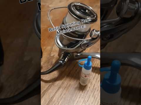 How To Take Care Of Your Spinning Reels! (grease and oil) #shimano #daiwa #freshwater #saltwater