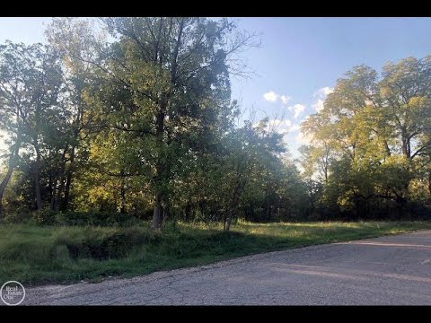 1099 Main, Fenton, MI - 50107274