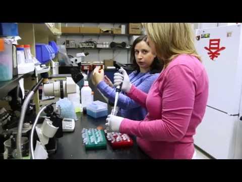Masters Program in Biomedical Research Technologies | Cincinnati Children's
