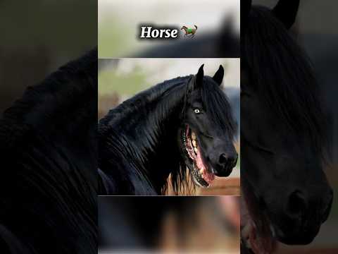 Skinwalker disguised as animals 😨 #scary #animals