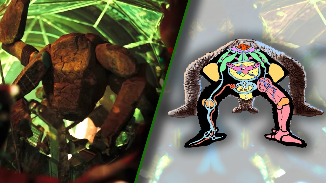 The Speculative Evolution of Project Hail Mary