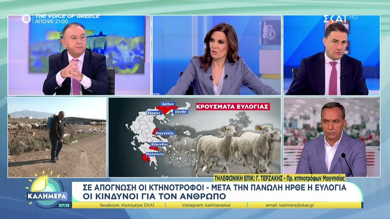 Κέλλας: Επάρκεια κρέατος στην αγορά – Με 100% χρηματοδότηση η ...