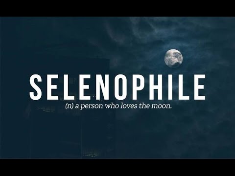 You & The Moon (Love Poem) | Spoken Word
