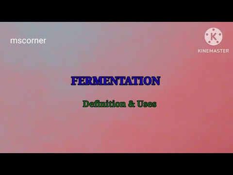 Fermentation - Definition, Uses & Examples
