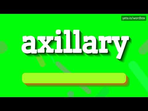 AXILLARY - HOW TO SAY AXILLARY?