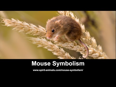 Mouse Symbolism