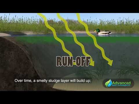 Fighting Algae, Odour and Sludge with Natural Bacteria