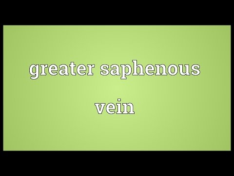 Greater saphenous vein Meaning