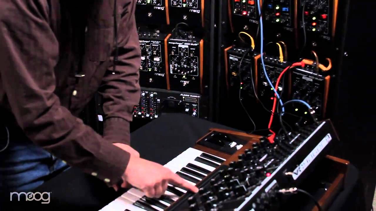 Minimoog Voyager XL