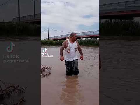 ON MY WAY TO STEAL BLACK JOBS π±π±π± #shorts #memes #trump #kamalaharris #youtubeshorts πβ¨
