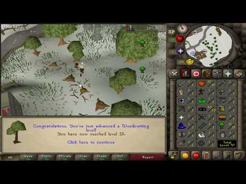 HCIM 14 Woodcutting Beaver pet!? [Alora]