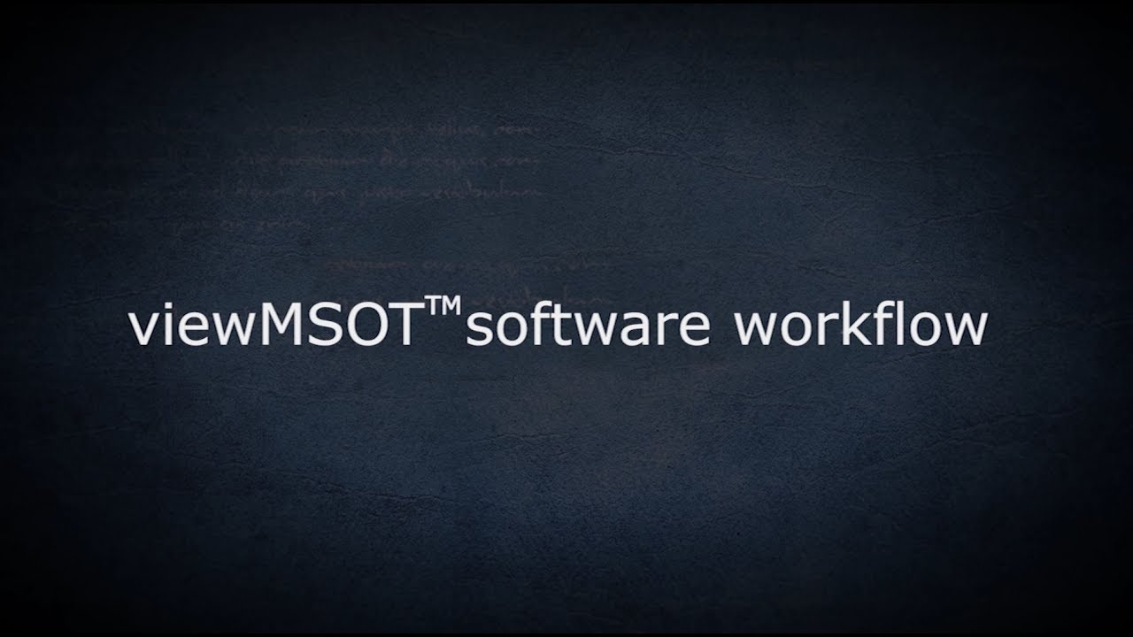 viewMSOT Software Workflow