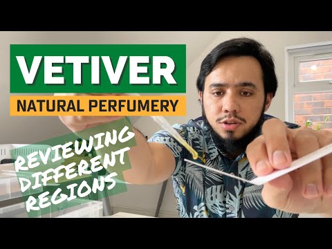 Vetiver in Natural Perfumery: Comparing Different Regions
