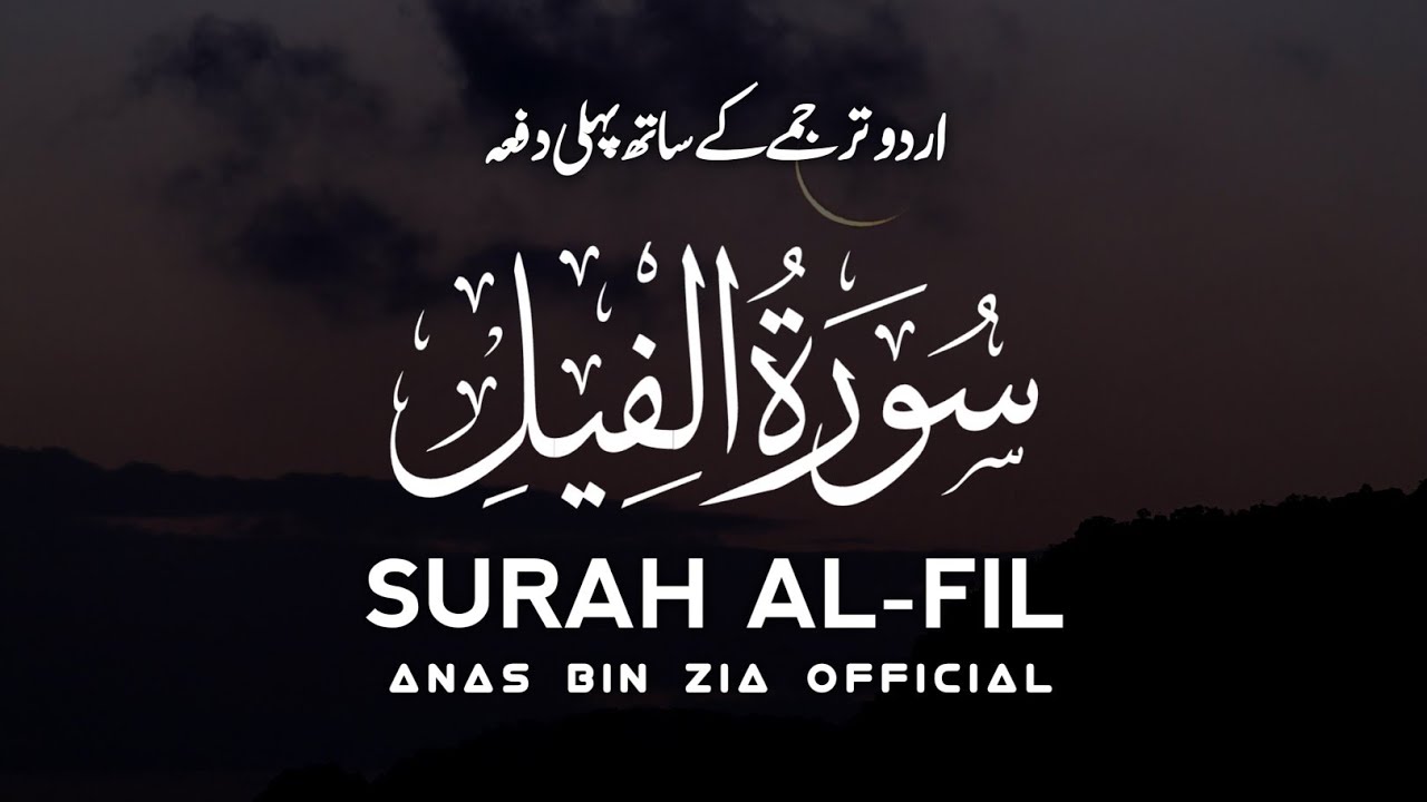 Surah Al Fil Anas Bin Zia انس بن ضیاء With Zia Ul