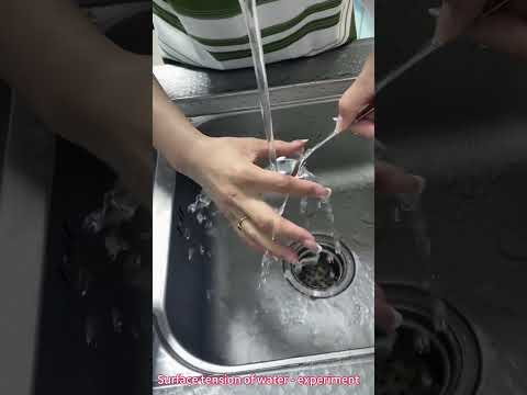 Surface tension of water ##experiment #science