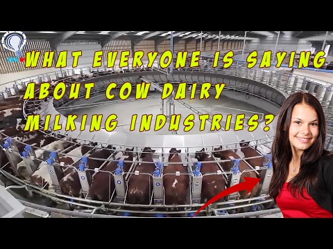 Inside the Milk Machine: How Modern Dairy Works, What Everyone Saying about Dairy Industries?