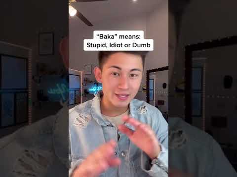 POPULAR ANIME WORDS AND THEIR MEANINGS | PART 15 "SUSSY BAKA" π