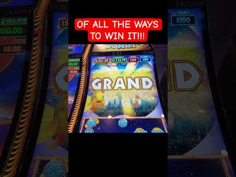 Of all the ways to win the grand jackpot this is the coolest! 😎 #bigjackpot #superjackpot