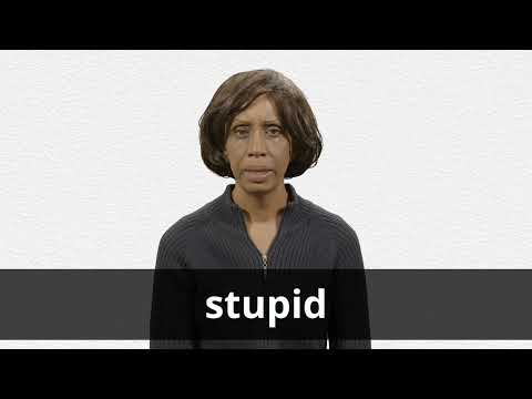 STUPID Definition Translations Collins English Dictionary STUPID Definition Translations Collins English Dictionary