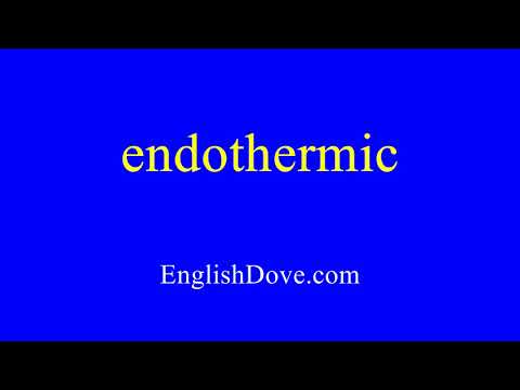 How to pronounce endothermic in American English