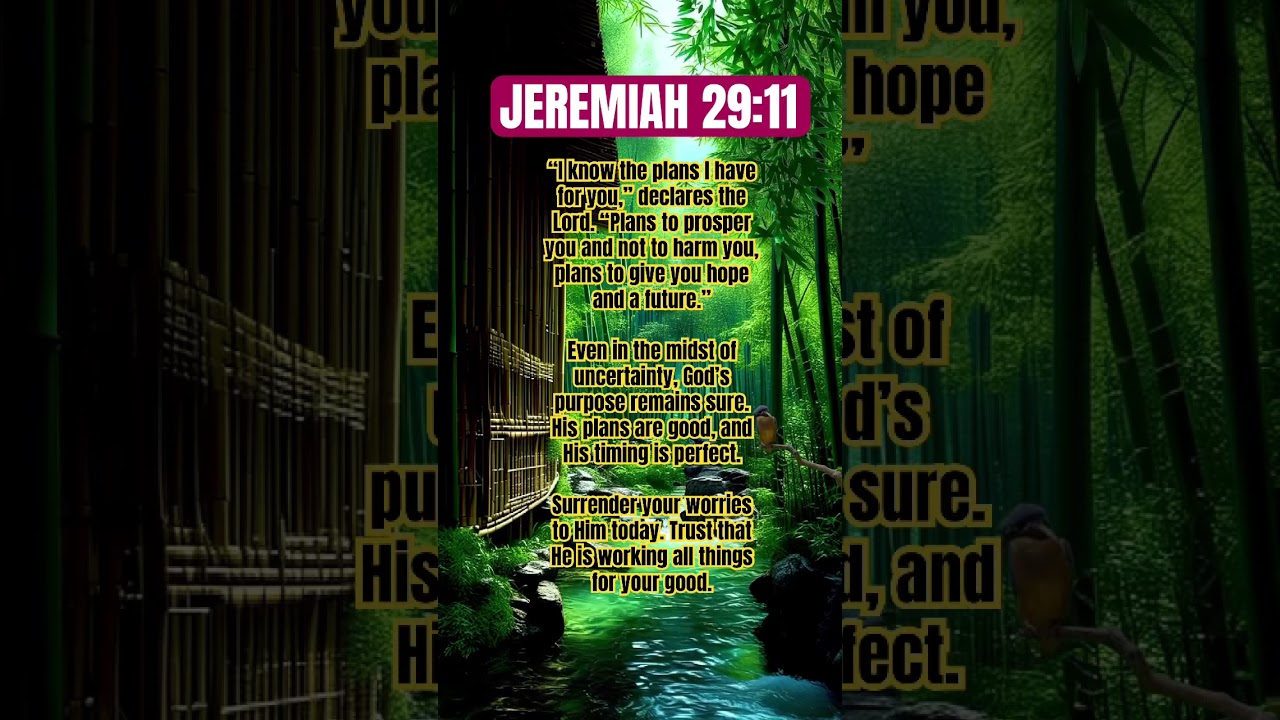 Bible verses Jeremiah #jesus #love  #thanksjesus #religiousprayer #quotes #god #godanswers