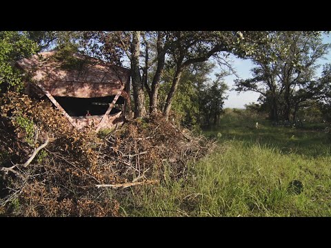 Deer Stands Come in All Shapes and Sizes