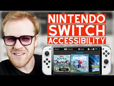 Nintendo Switch Accessibility - How I Use Zoom as a Blind Gamer