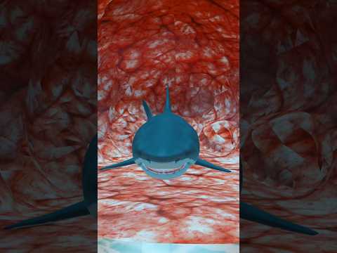 What If A Whale Swallows A Shark Alive?