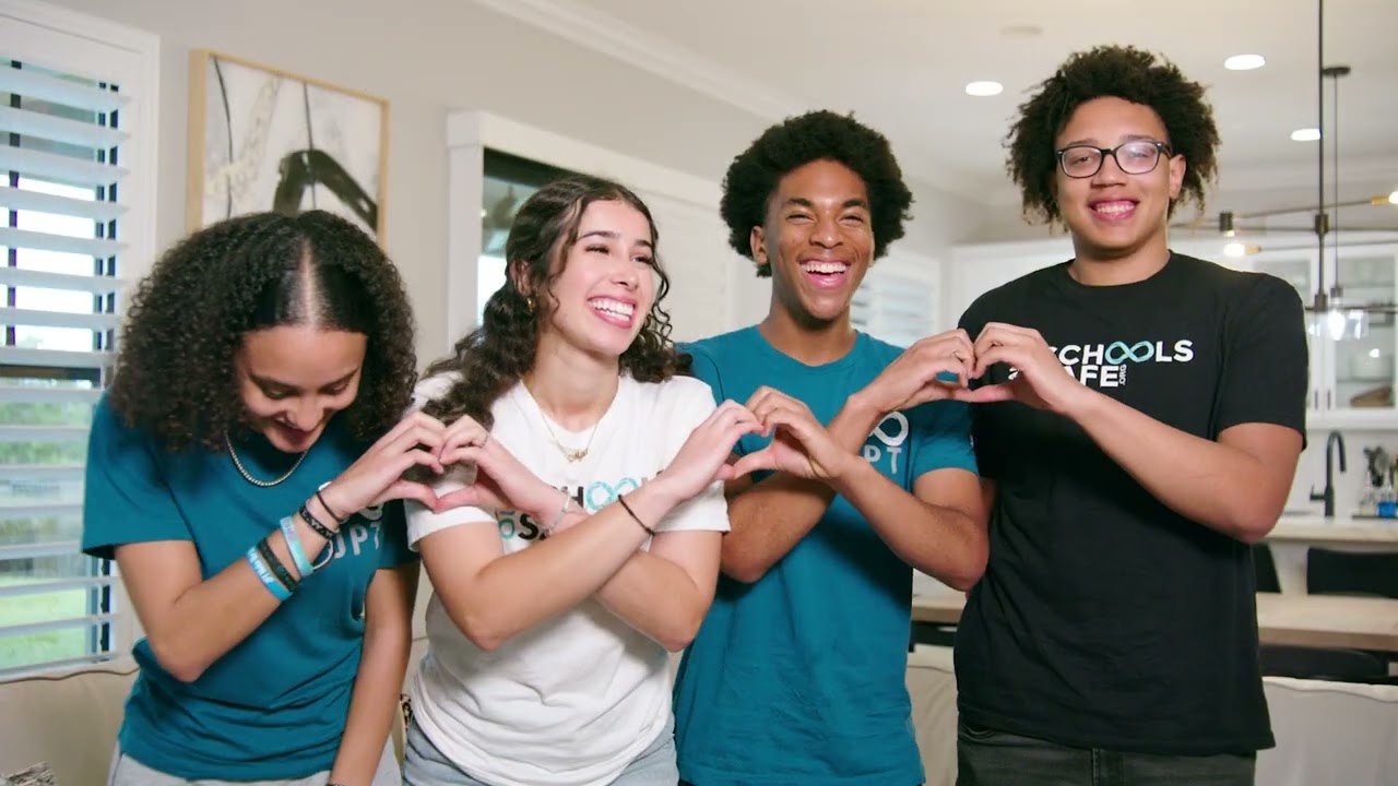 Make Our Schools Safe Overview