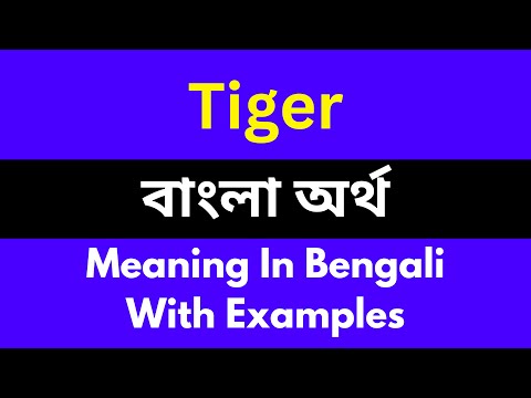 Tiger meaning in bengali/Tiger শব্দের বাংলা ভাষায় অর্থ অথবা মানে কি