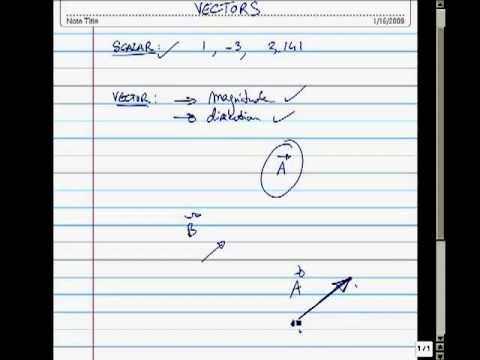 Definition of a Vector