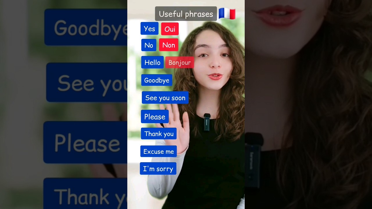 useful phrases in French 🇫🇷 most common | Basic vocabulary