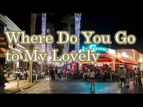 Peter Sarstedt   Where Do You Go To My Lovely   +   lyrics 2