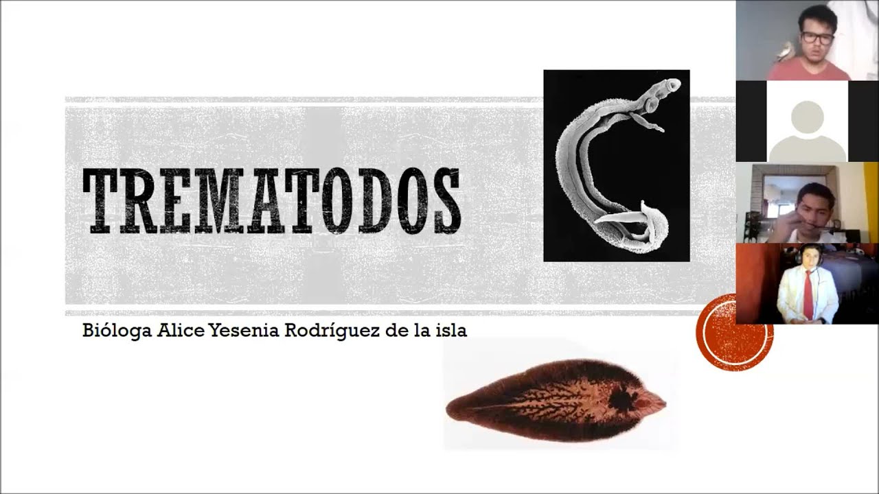 Trematodos Generalidades