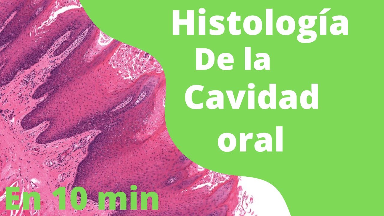 La histología de la cavidad oral