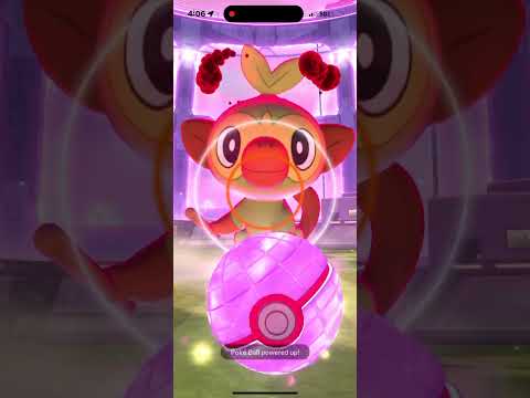 Dynamax grookey raid