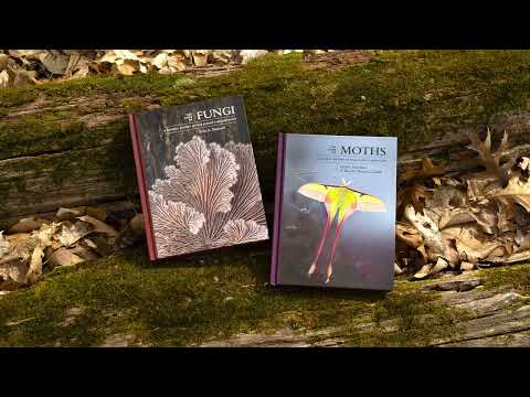 The Lives of Moths: A Natural History of Our Planet's Moth Life