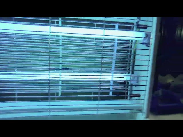 Flying Insect Killer Machine - Spectrofly fly killer machine Trader - Wholesaler / Distributor ...