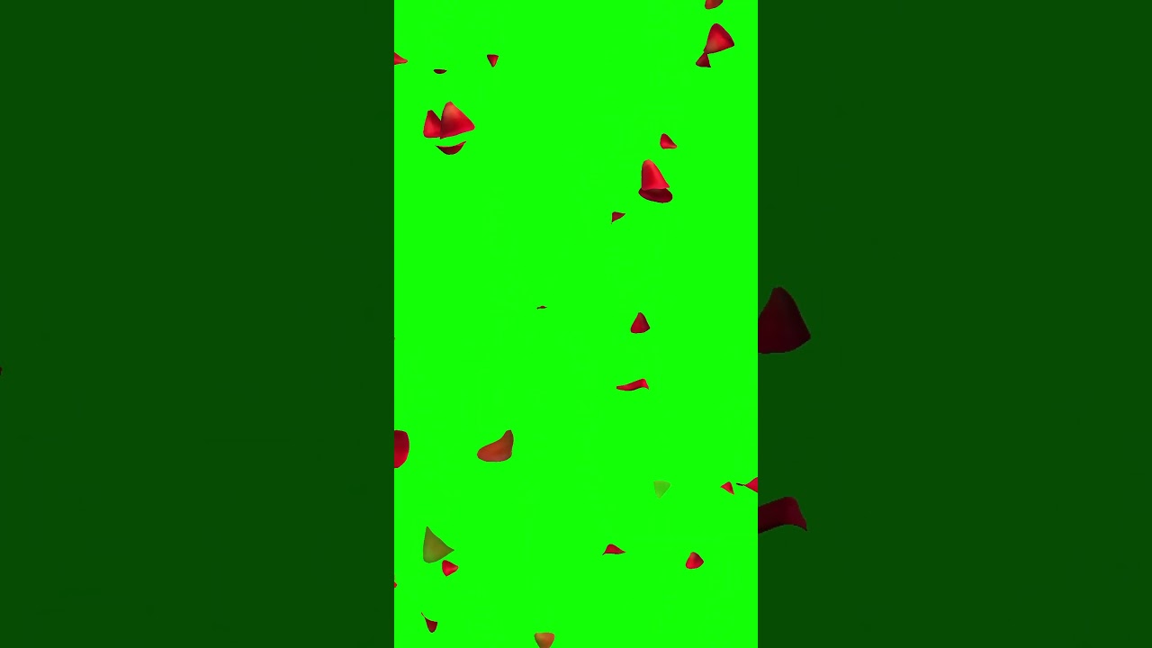 Green Screen - Falling Rose Petals - Free Download - #shorts #greenscreen