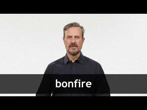 BONFIRE - Definition & Translations | Collins English Dictionary