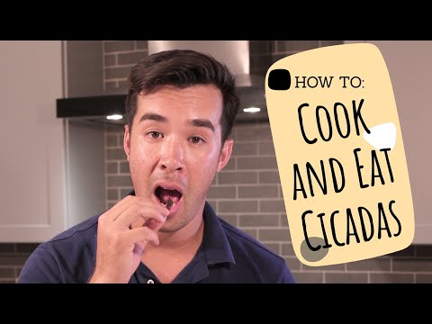 Would you Cook and Eat Cicadas?